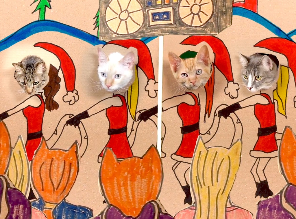 Watch: Mean Girls Performed by Cats Watch: Mean Girls Performed by Cats